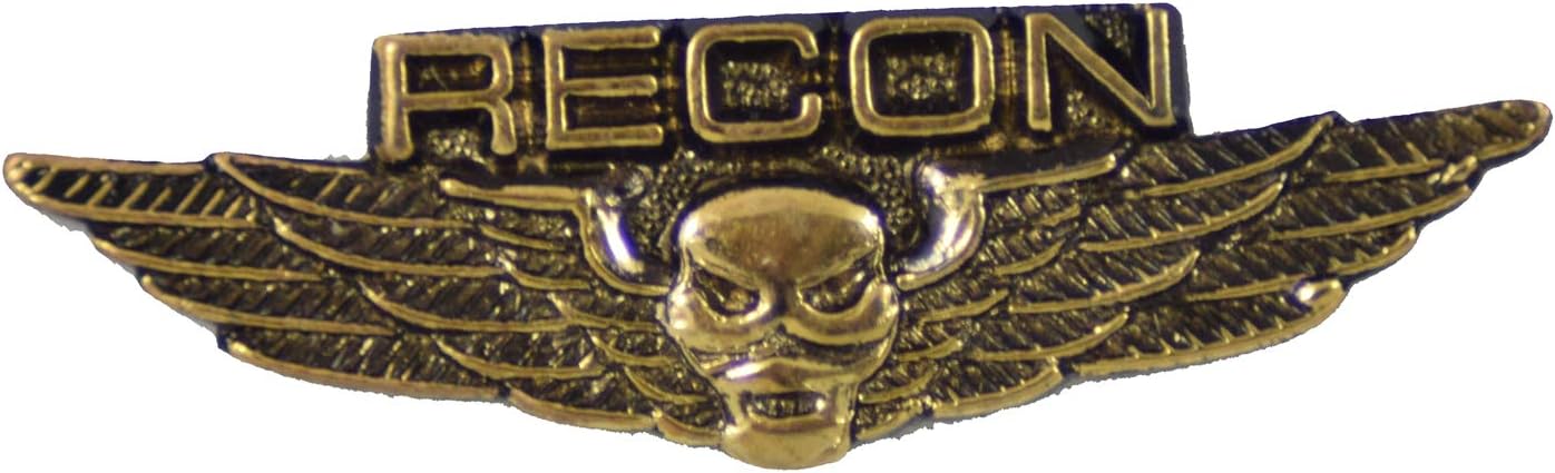 Amazon.com: RECON WING LAPEL PIN OR HAT PIN - Size 1 1/4" - VETERAN ...