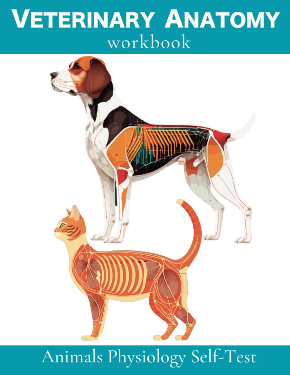 Basic Anatomy And Physiology Notes Animals 🤓Anatomy And Physiology