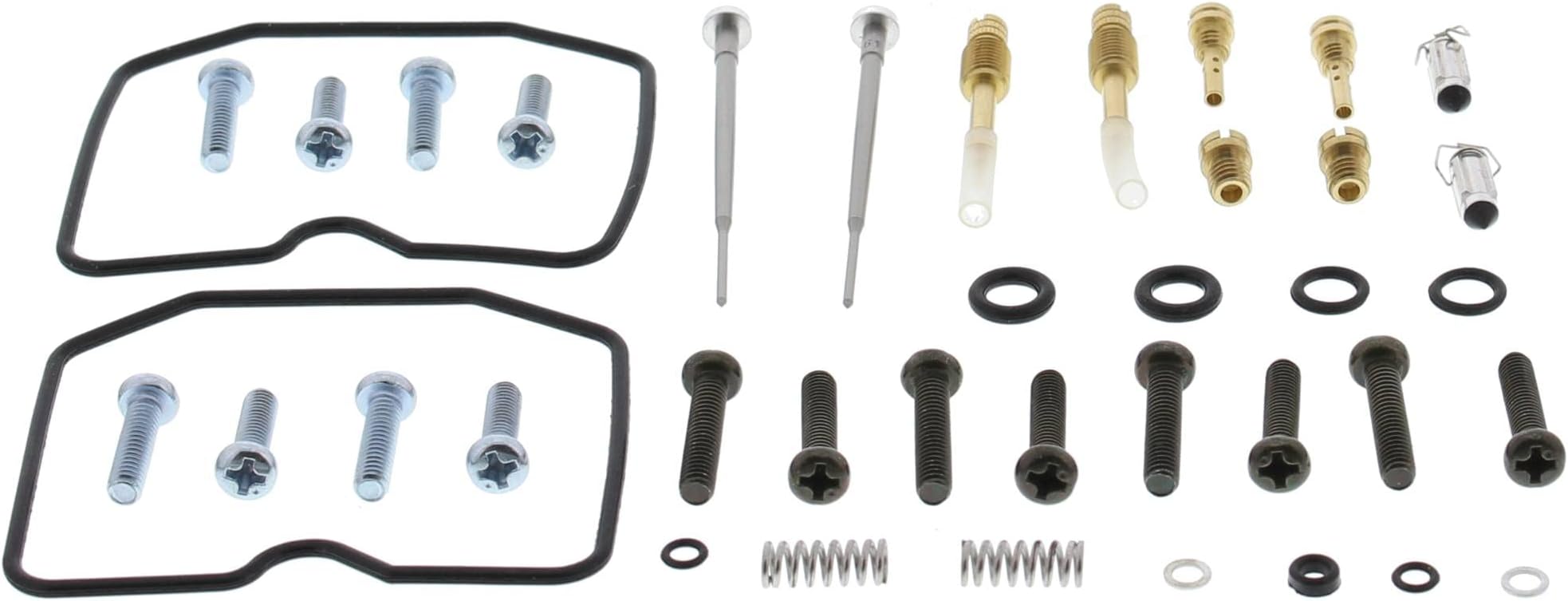 Amazon.com: 2-Pack Carburetor Repair Kit with Diaphragm Float ...