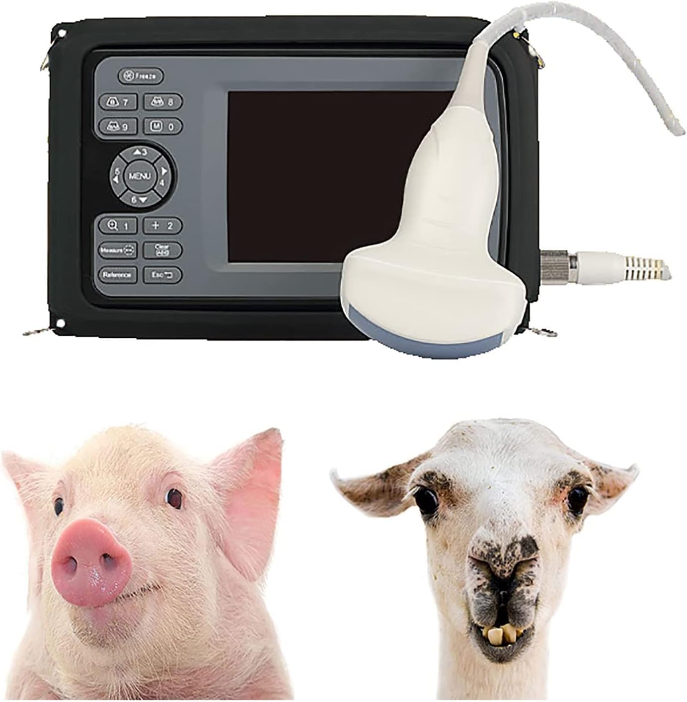 LMEIL Portable B-Ultrasound Scanner, Veterinary Pregnancy Diagnostic ...