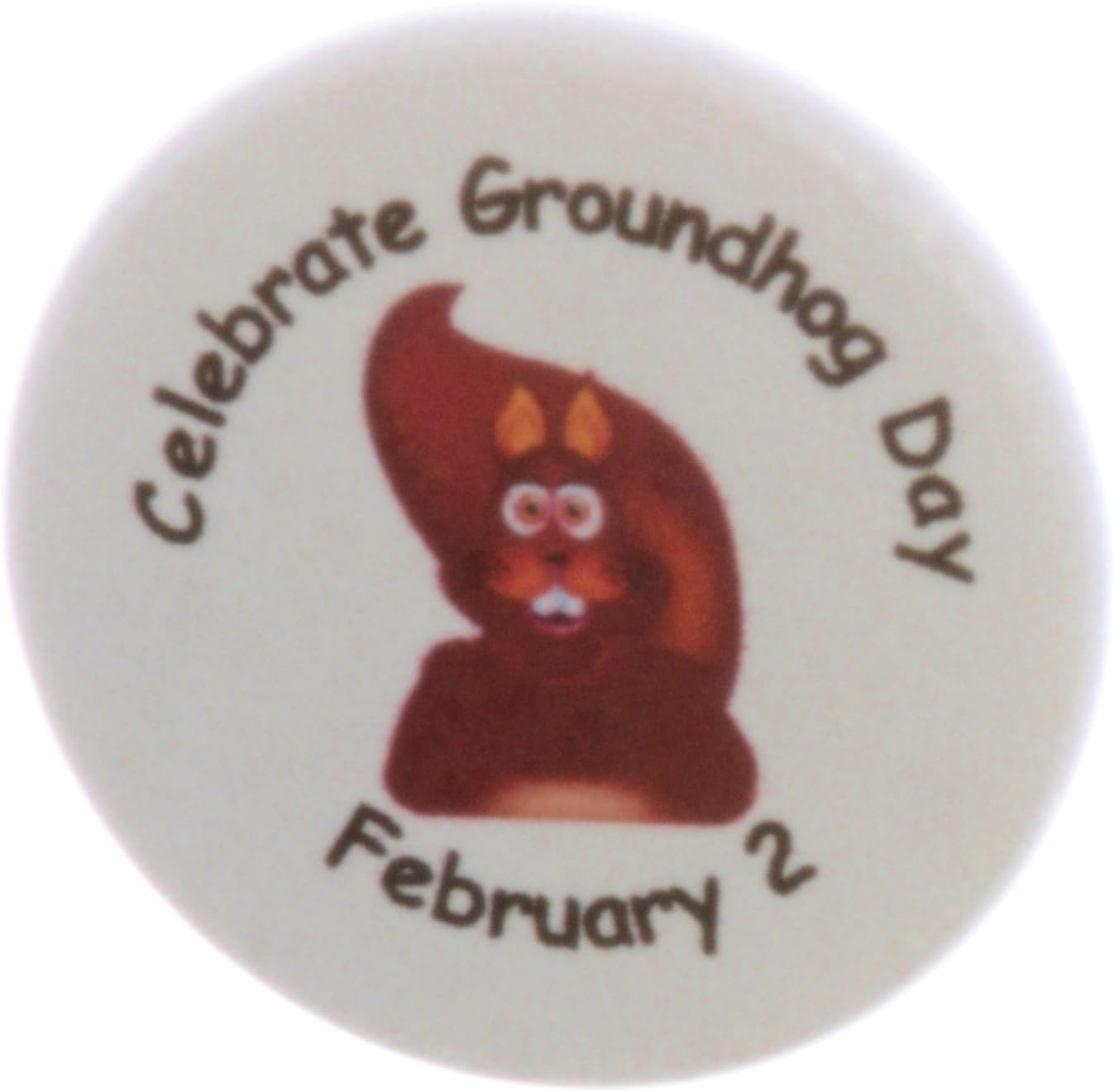 Amazon.com: A&T Designs Set of 5 Celebrate Groundhog Day - February 2-2 ...