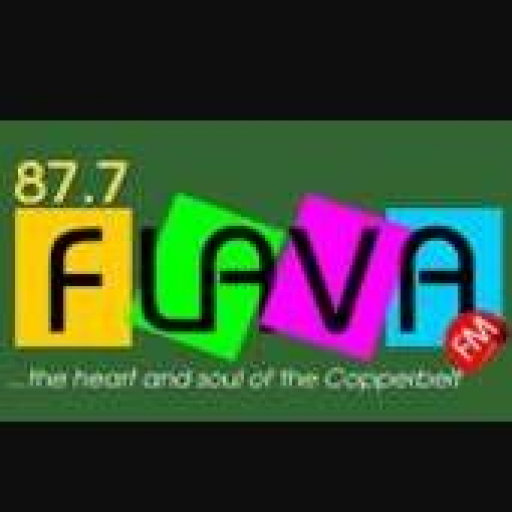 Flava FM - App on Amazon Appstore