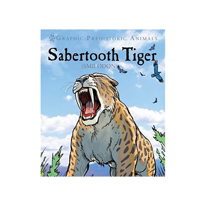 Buy Sabertooth Tiger: Smilodon (Graphic Prehistoric Animals) Online at ...