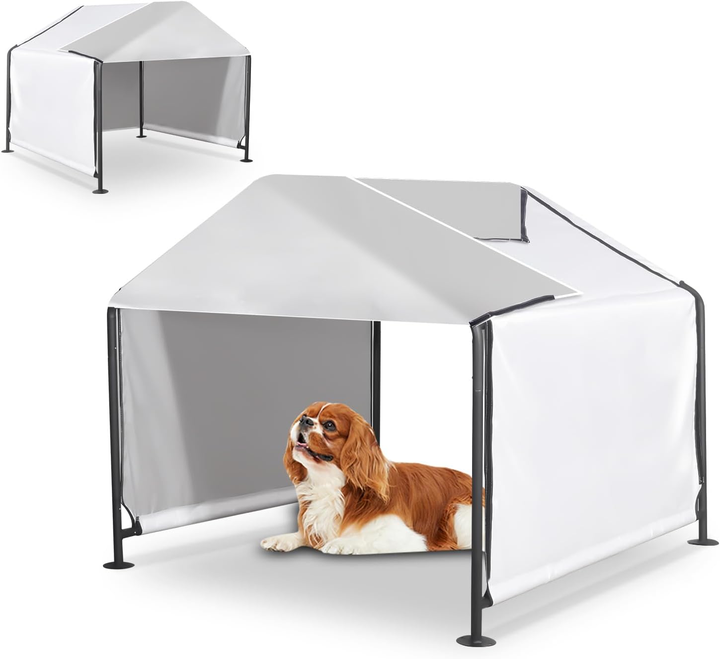 Amazon.com : YOUGYM Dog Shade Shelter 2.5'x2.1'x2.1' for Small Dogs ...