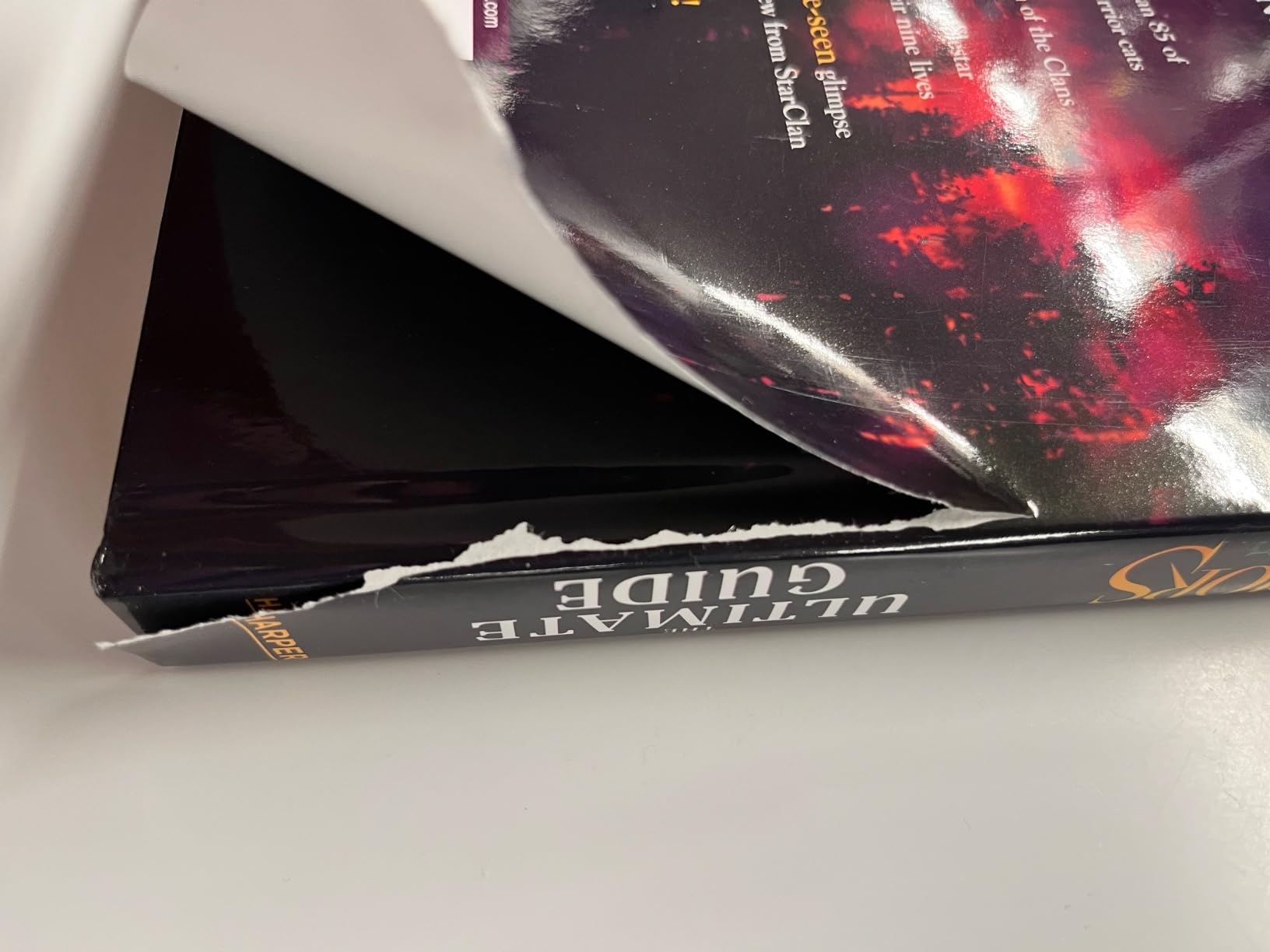 Warriors: The Ultimate Guide: Updated and Expanded Edition: A ...