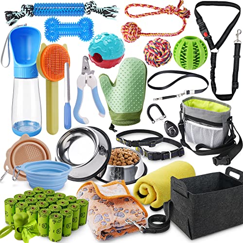 Golden Retriever Puppy Starter Kit