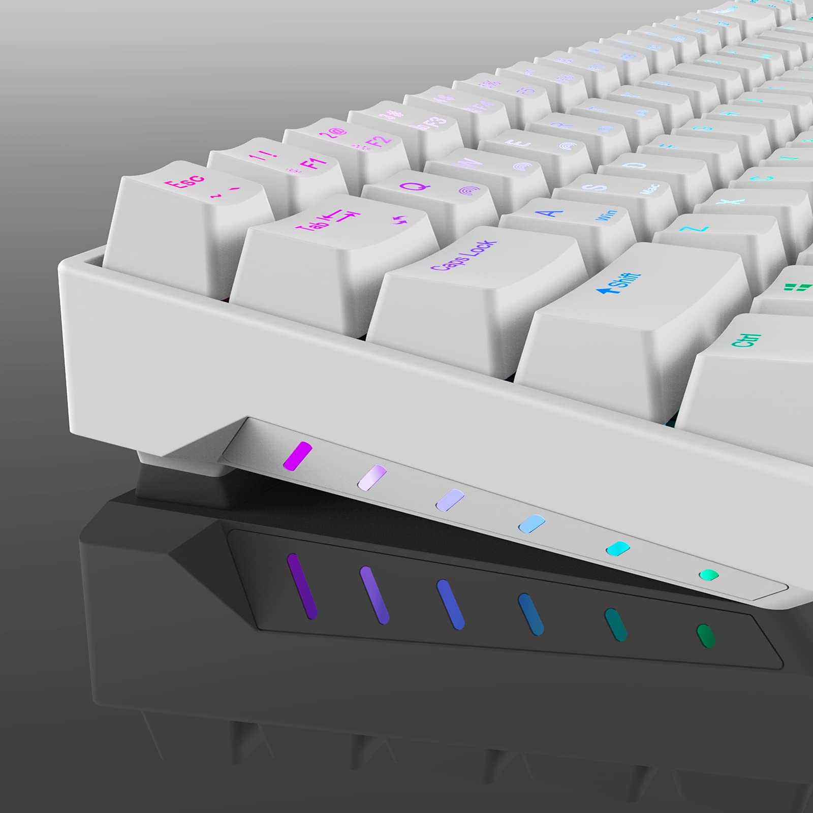 Buy RK ROYAL KLUDGE RK71 Wireless/Wired Mechanical Keyboard and 7200 ...