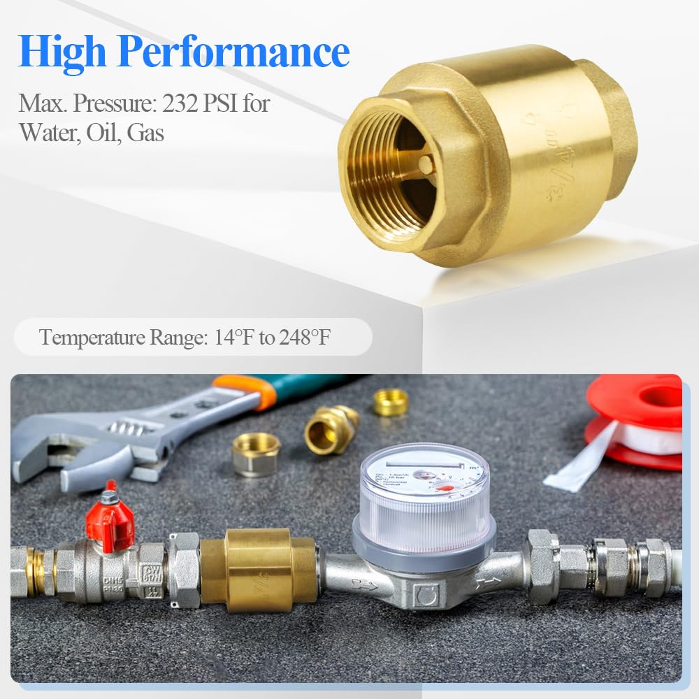 Snapklik.com : WiseWater Vertical Spring Check Valve, 1 NPT Thread ...