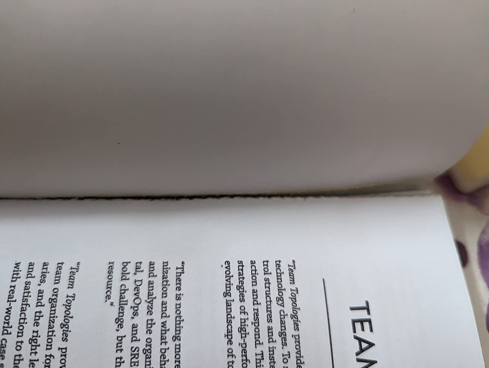 Buy Team Topologies Book Online at Low Prices in India | Team ...