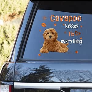 Amazon.com - Cavapoo Kisses Fix Everything Car Decal Sticker, Funny ...