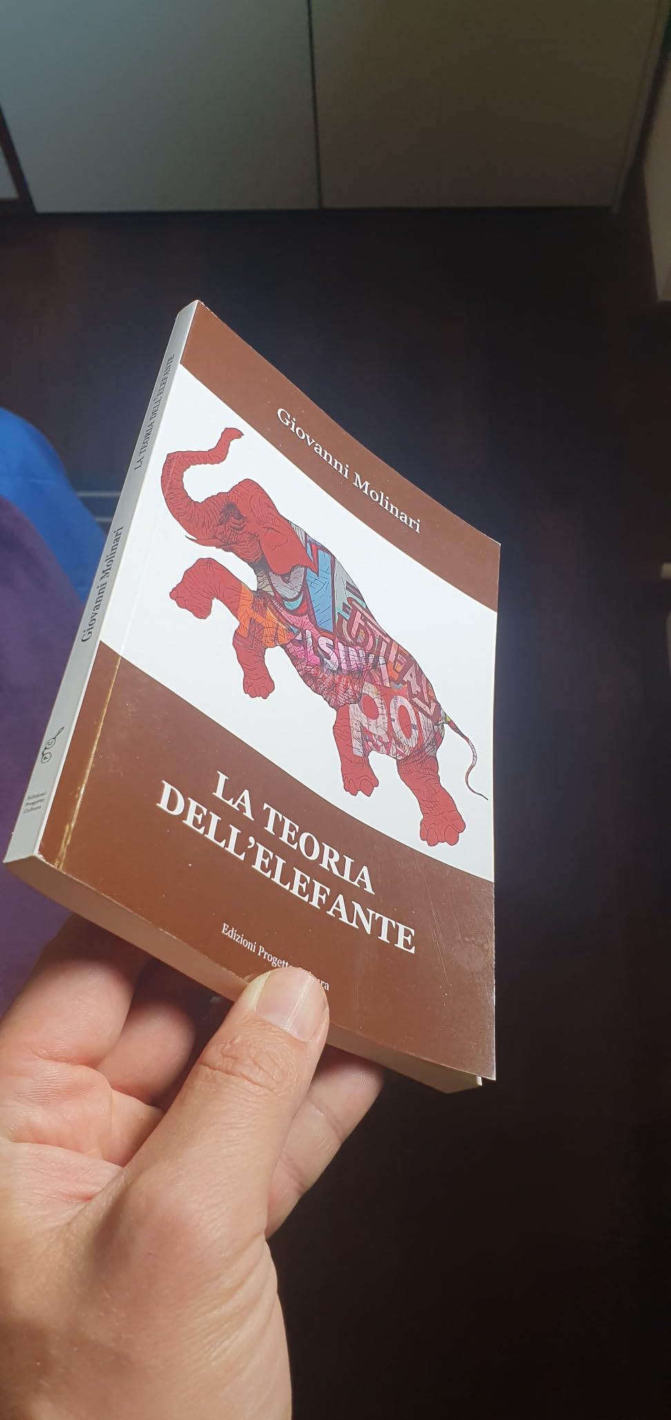 La teoria dell'elefante : Molinari, Giovanni: Amazon.it: Libri