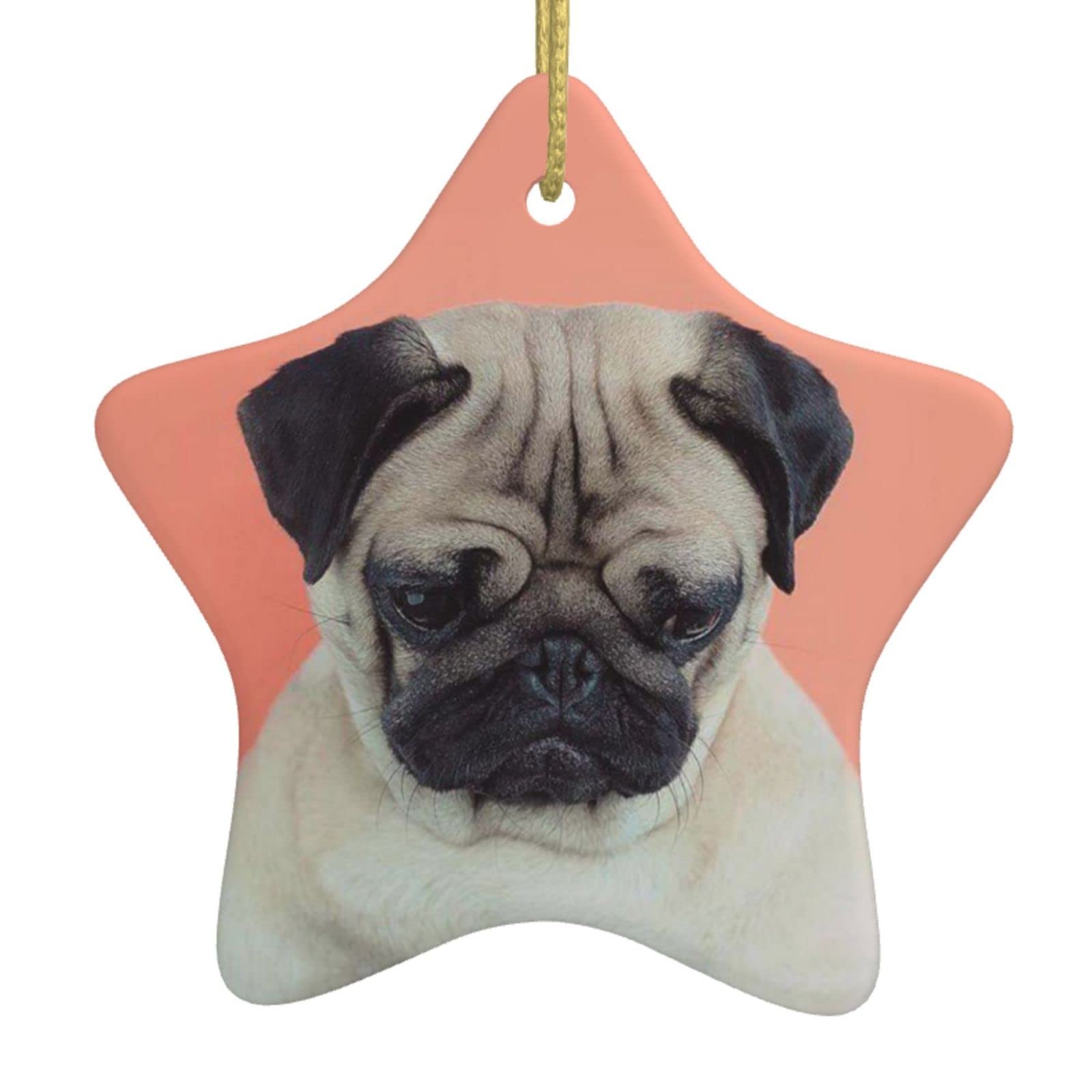 Sad Party Dog