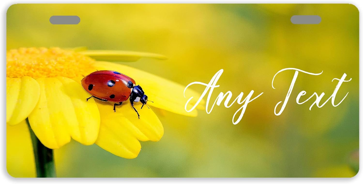 Amazon.com: Deargifts Sunflower Ladybugs License Plate for Front of Car ...