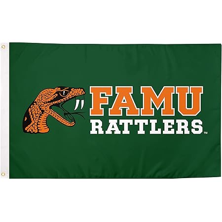 Amazon.com : Desert Cactus Florida A&M University FAMU Rattlers 100% ...