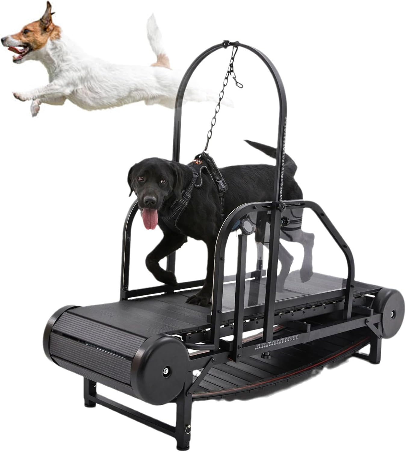 Amazon.com: Dog Treadmill for Medium Dogs, Large Dogs, Dog Pacer ...