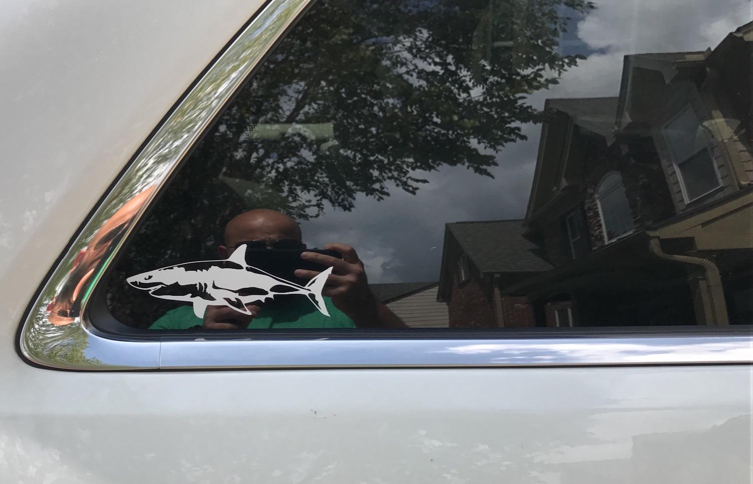 Amazon.com: Great White Shark Fish Decal Sticker For Use On Laptop ...