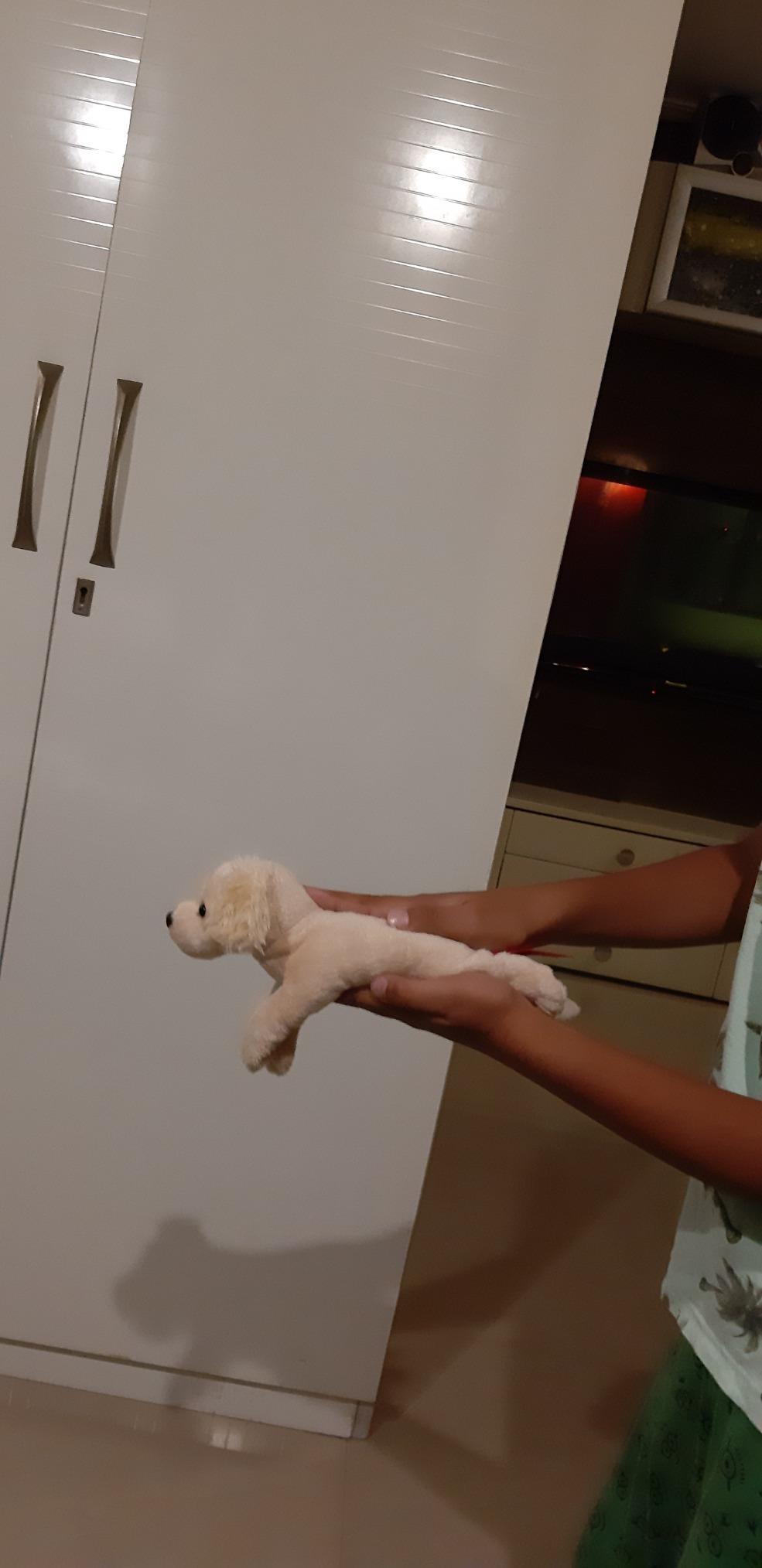 Buy Hamleys Retriever Dog Soft Toy (Off White) Online at Low Prices in ...