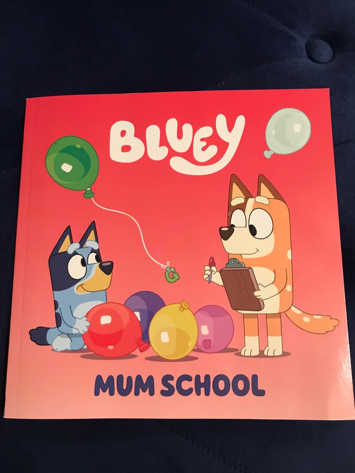 Bluey Mum School Picture Book: Bluey: 9780241550663: Amazon.com: Books