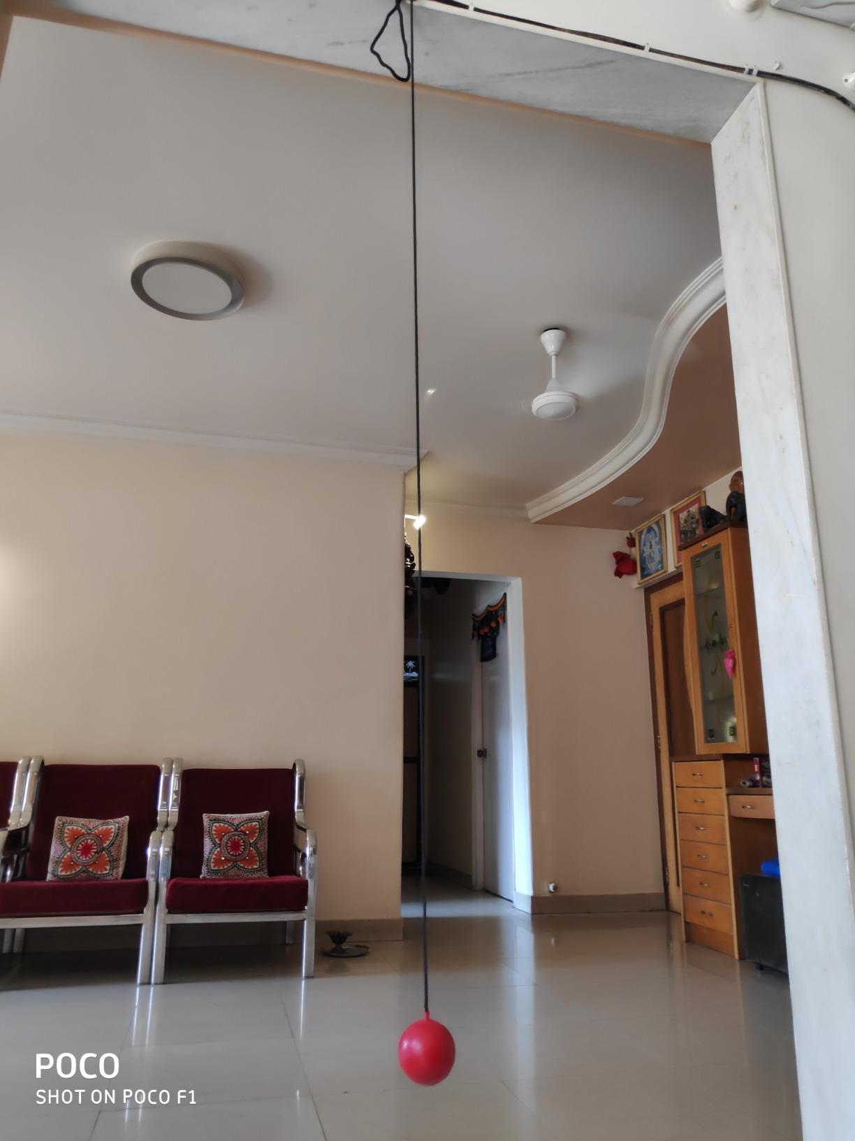 Gravity Nylon and Hard Plastic Hanging Ball for Cricket : Amazon.in ...