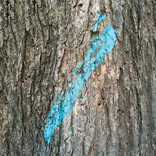 Amazon.com: Lost & Compiled : Taylor Deupree: Digital Music