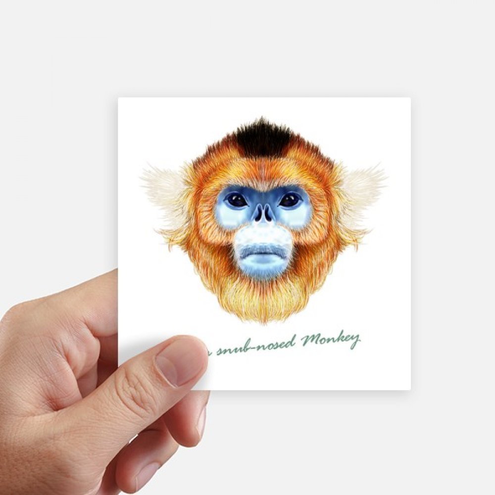 Golden Snub Nosed Monkey Wallpaper