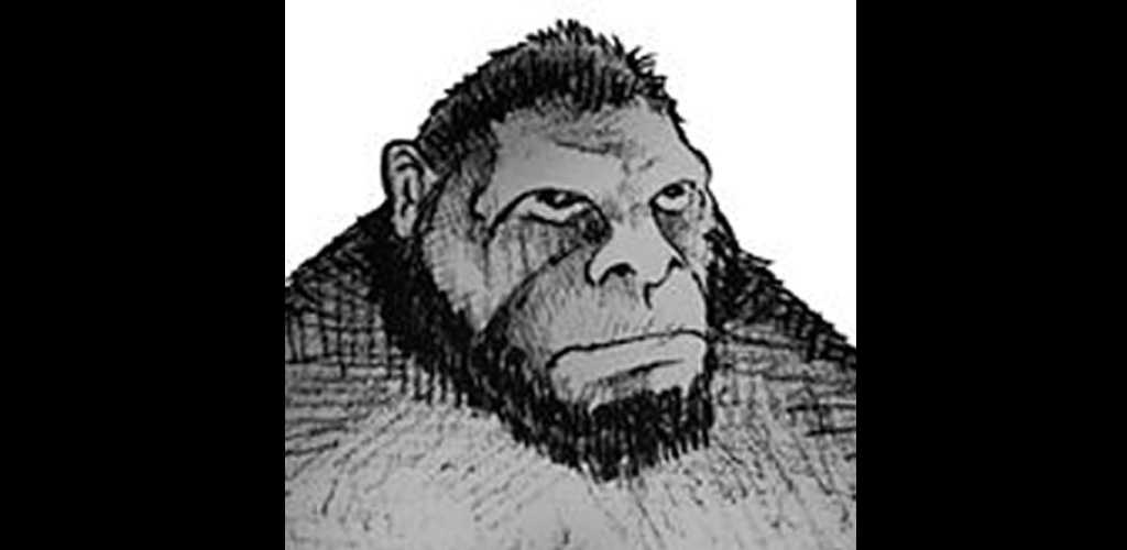 Bigfoot Sounds & Bigfoot Hunting Calls - App on the Amazon Appstore