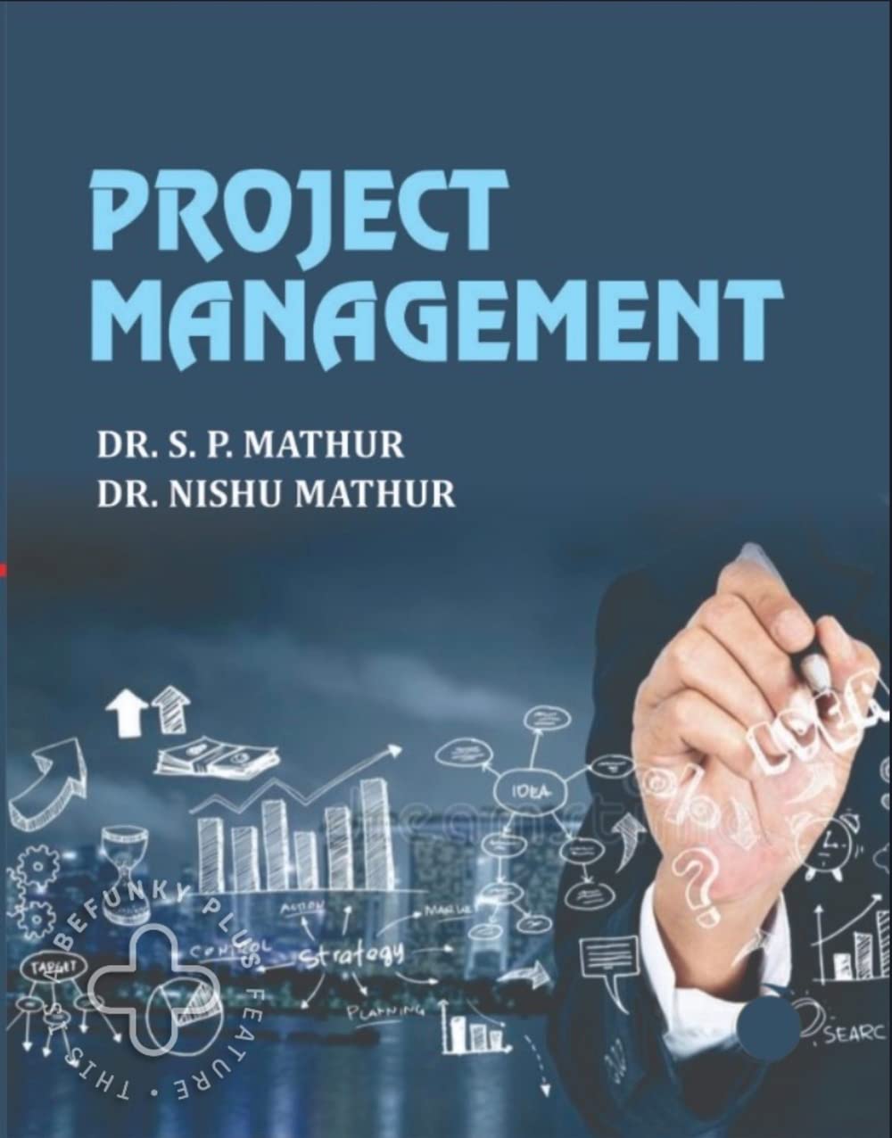 Amazon.com: PROJECT MANAGEMENT: A Comprehensive Framework to Planning ...