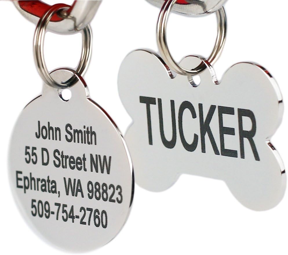 Amazon.com : GoTags Dog Tags, Personalized Pet Tags in Stainless Steel ...