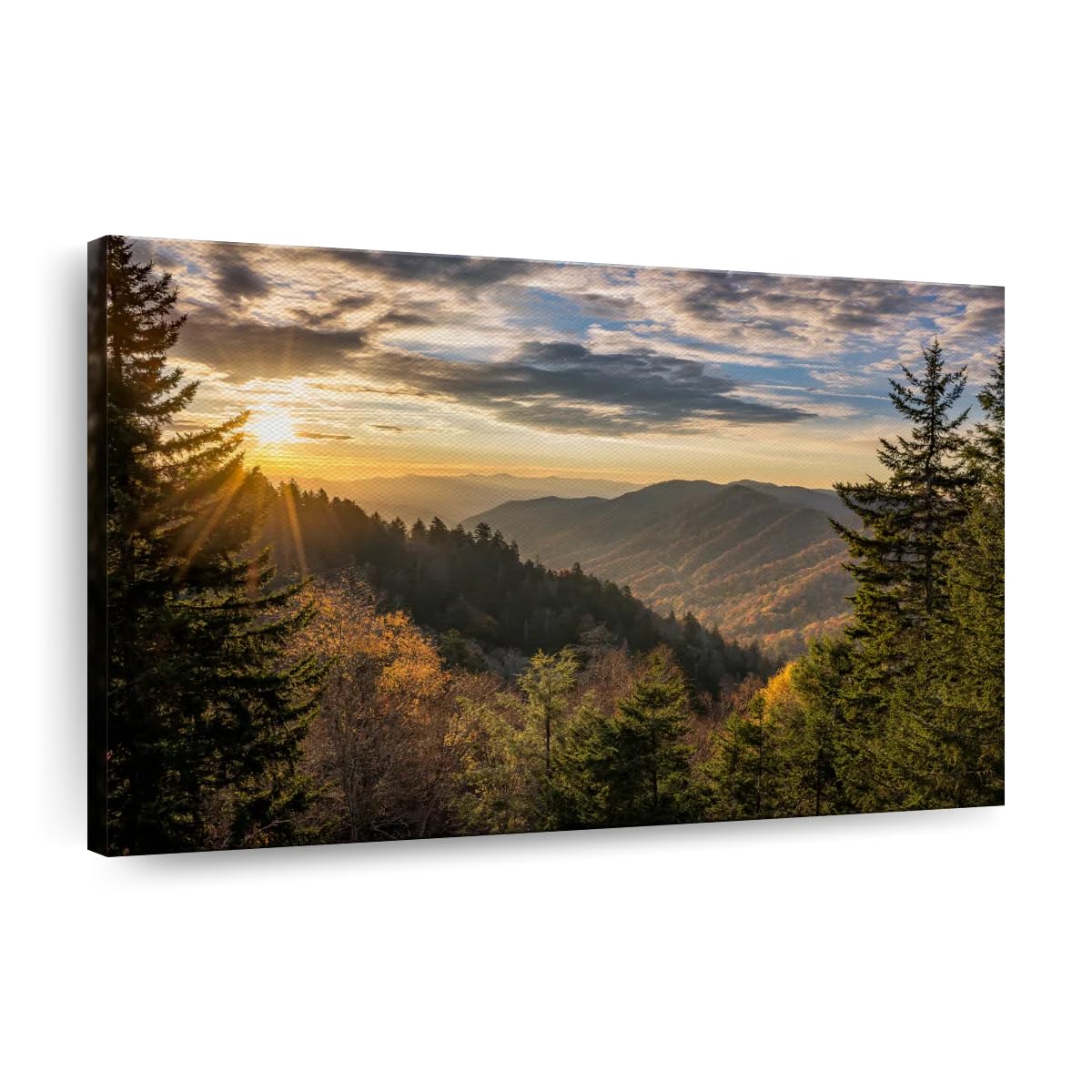 Amazon.com: Elephant Stock Sunrise In Smoky Mountains Canvas - 1 Panel ...