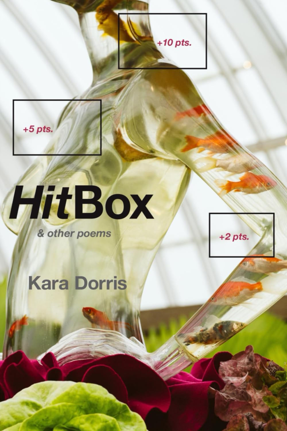 Amazon.com: HitBox: 9781639804788: Dorris, Kara: Books