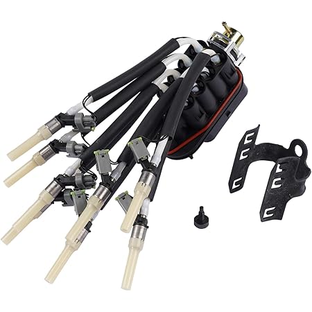 Amazon.com: Central Port Fuel Spider Injector Injection for Chevy ...