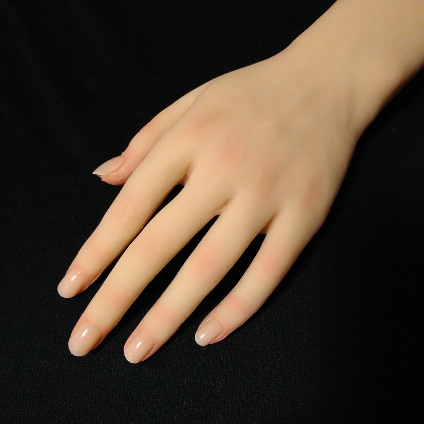 Amazon | MOTLEYBEAN 手 模型 ハンドモデル マネキン シリコン製手の模型 女性の手 デッサン手 手フェチ 絵画モデル 骨格 ...