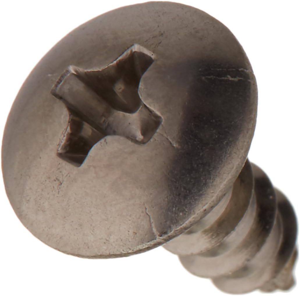 Amazon.com : Pentair R172375 Lock Screw Replacement Top Load In-Line ...