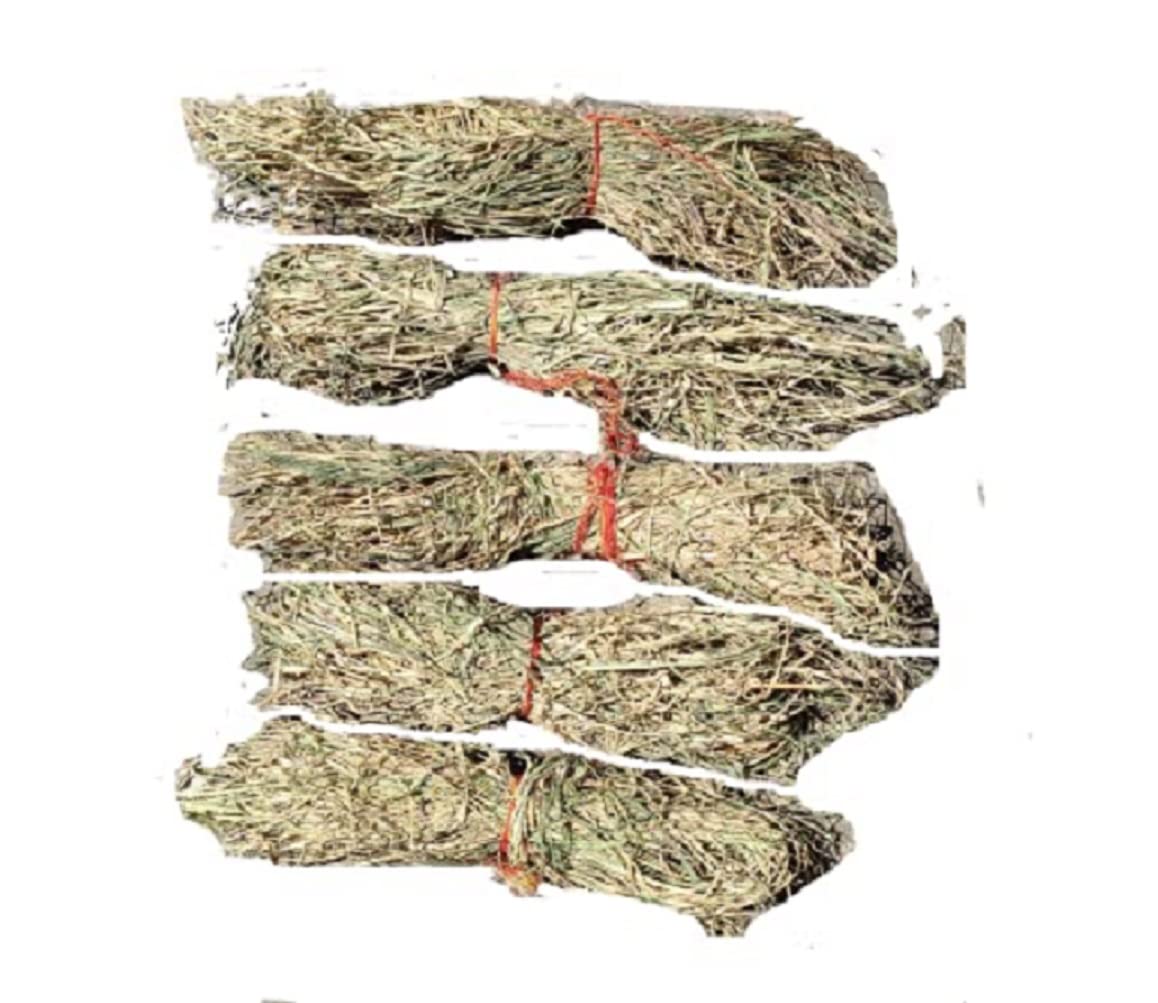 Buy Sky Life Doob Ghaas Durva Grass Doob Grass for Puja and Havan (Set ...
