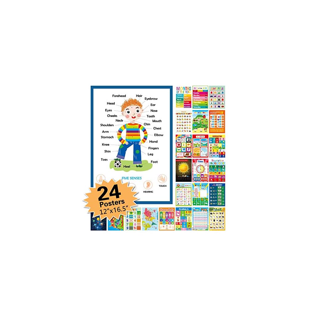 Topbooc 24 Pack Educational Posters For Preschool Classroom Decorations topbooc-24-pack-educational-posters-for-preschool-classroom-decorations