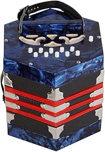 Amazon.com: 20 Buttons Concertina Accordion, With Carrying Bag ...