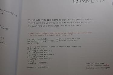 JavaScript and jQuery: Interactive Front-End Web Development: Duckett, Jon: 9781118531648 ...