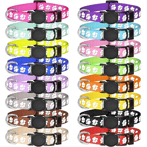 Puppy Collars – The 15 best products compared - Wild Explained