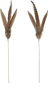 Amazon.com: Pheasant Feather Picks by Ashland® : Arts, Crafts & Sewing