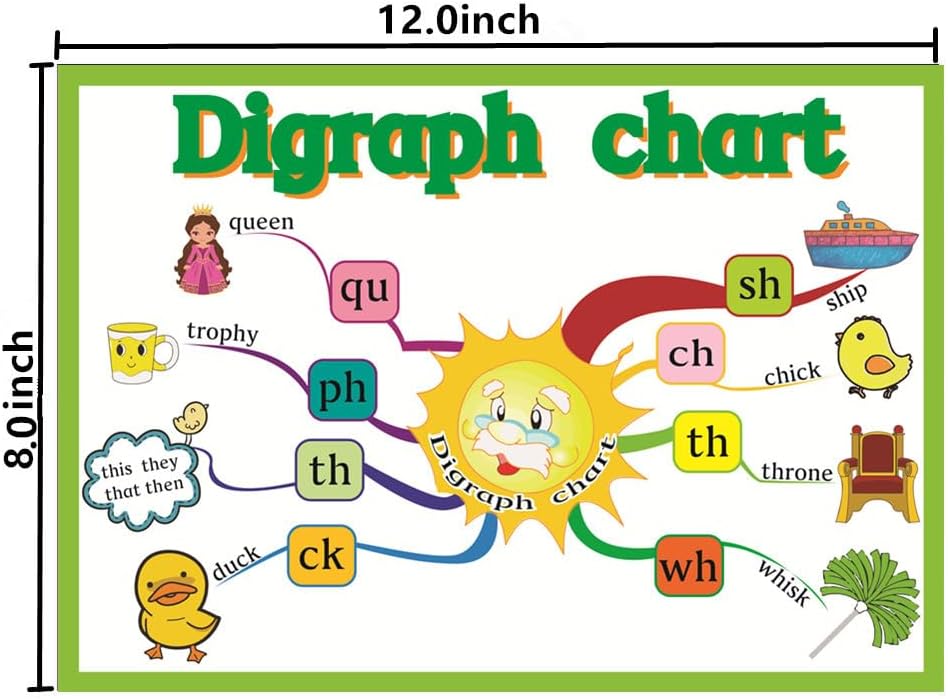 SANTSUN 11 English Phonics Poster Mind South Africa | Ubuy