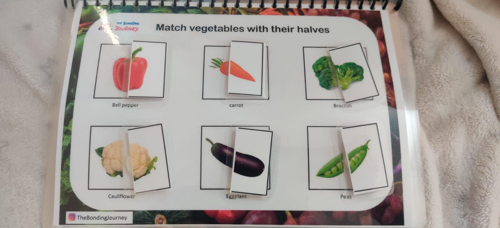 FRUITS & VEGETABLES BUSY BINDER | Montessori Busy Book| Preschoolers ...