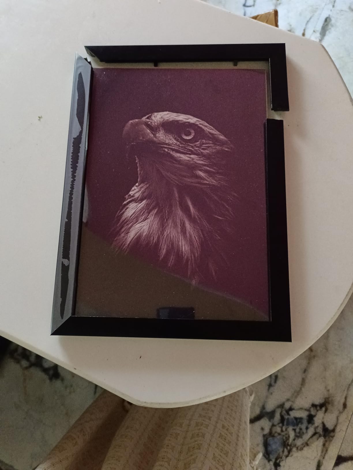 Kagaz Kala - Digital Reprint Wild Birds photo frame for wall - Royal ...