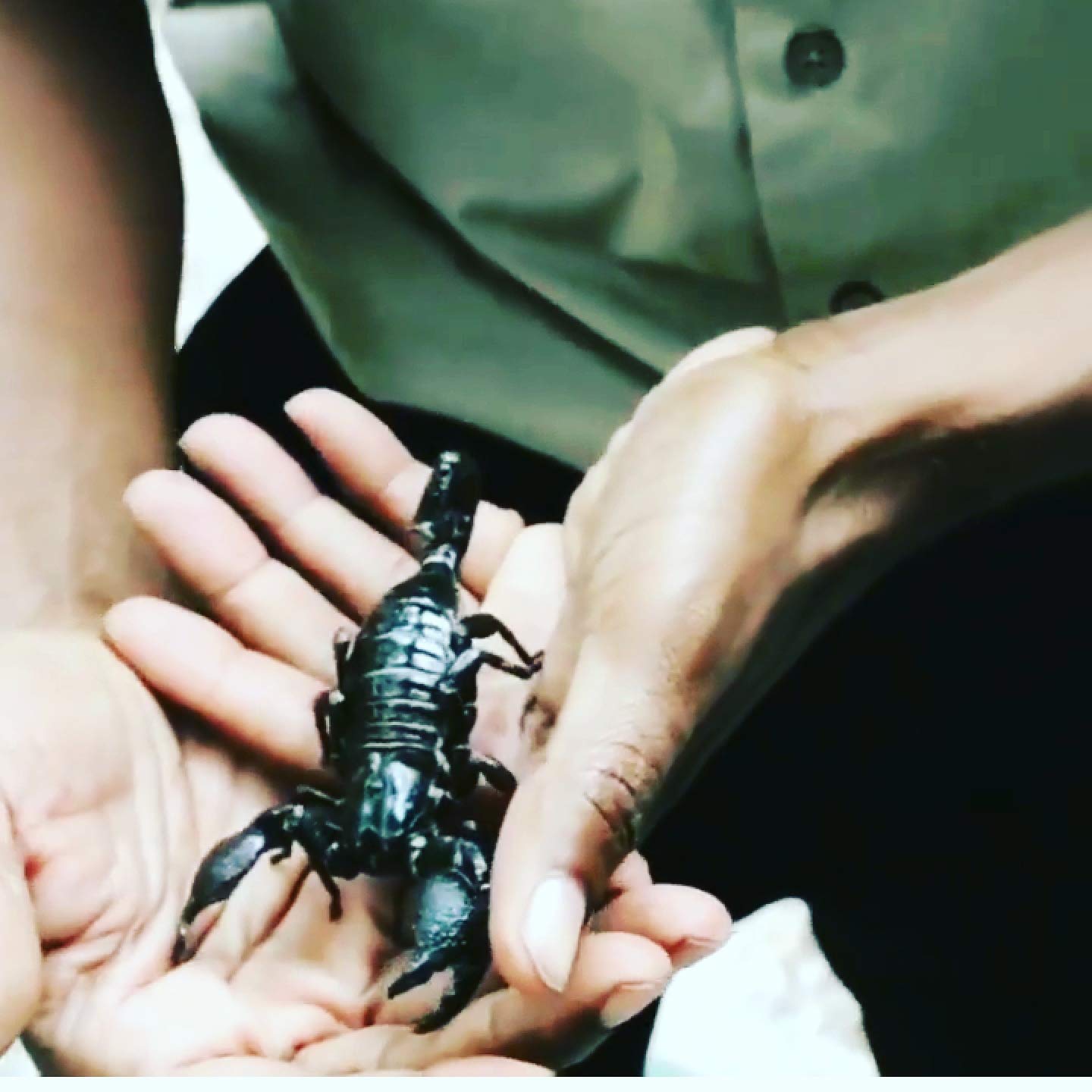 Amazon.com: The Wildlife Guy presents: Wildlife Facts: Come join The ...