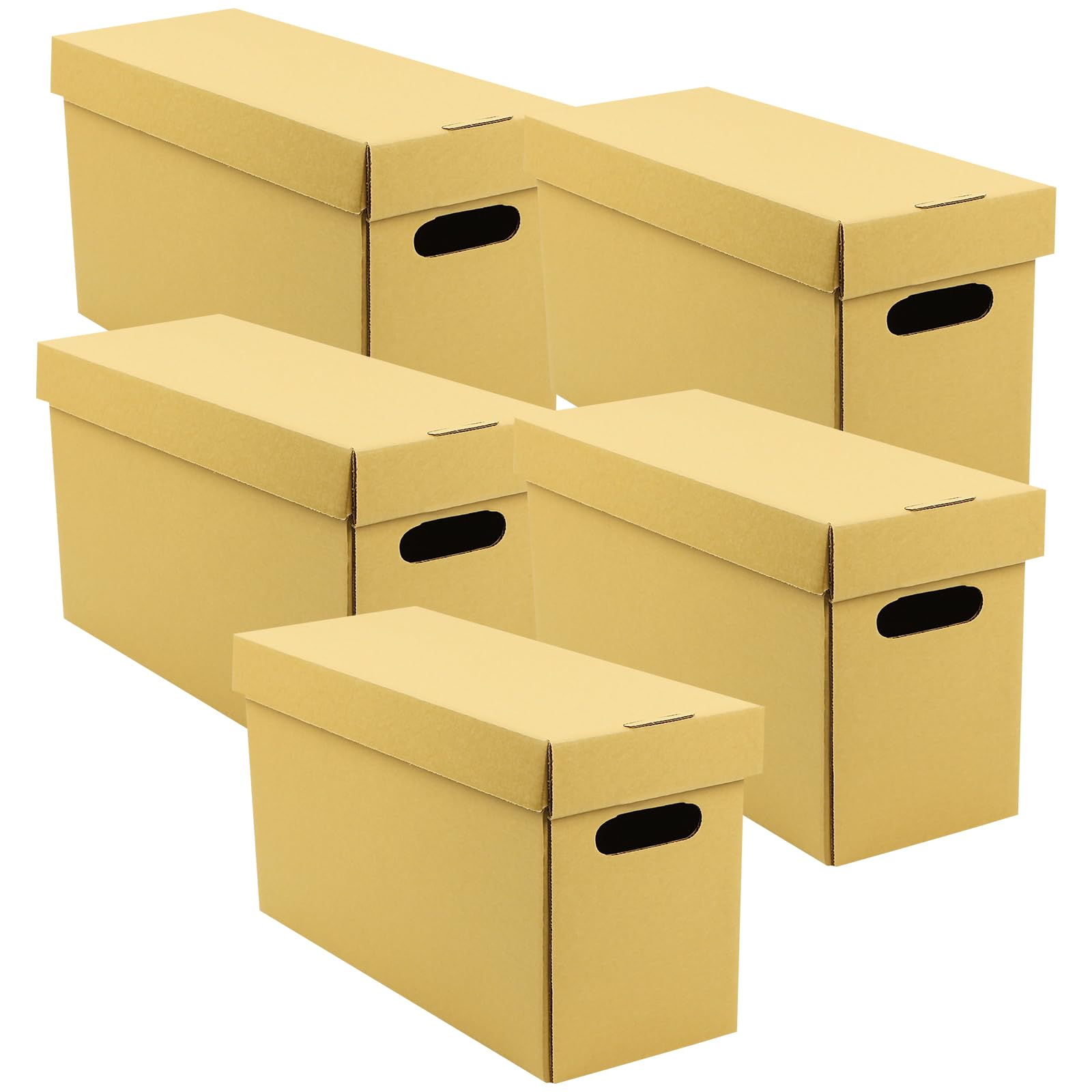Amazon.com : Lineco Archival Record Storage Cartons, Ready-To-Assemble ...