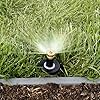 Amazon.com : Orbit 54520 Professional Pop-Up Spray Head Sprinkler with ...