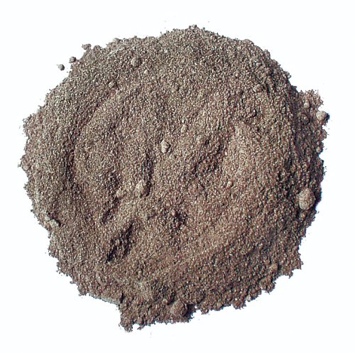 Amazon.com : Bolete Mushroom Powder, 16 Ounce Jar : Mushrooms And ...
