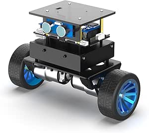 Amazon.com: Yahboom STM32 2wd Self-Balancing Robot,Two-Wheeled ...