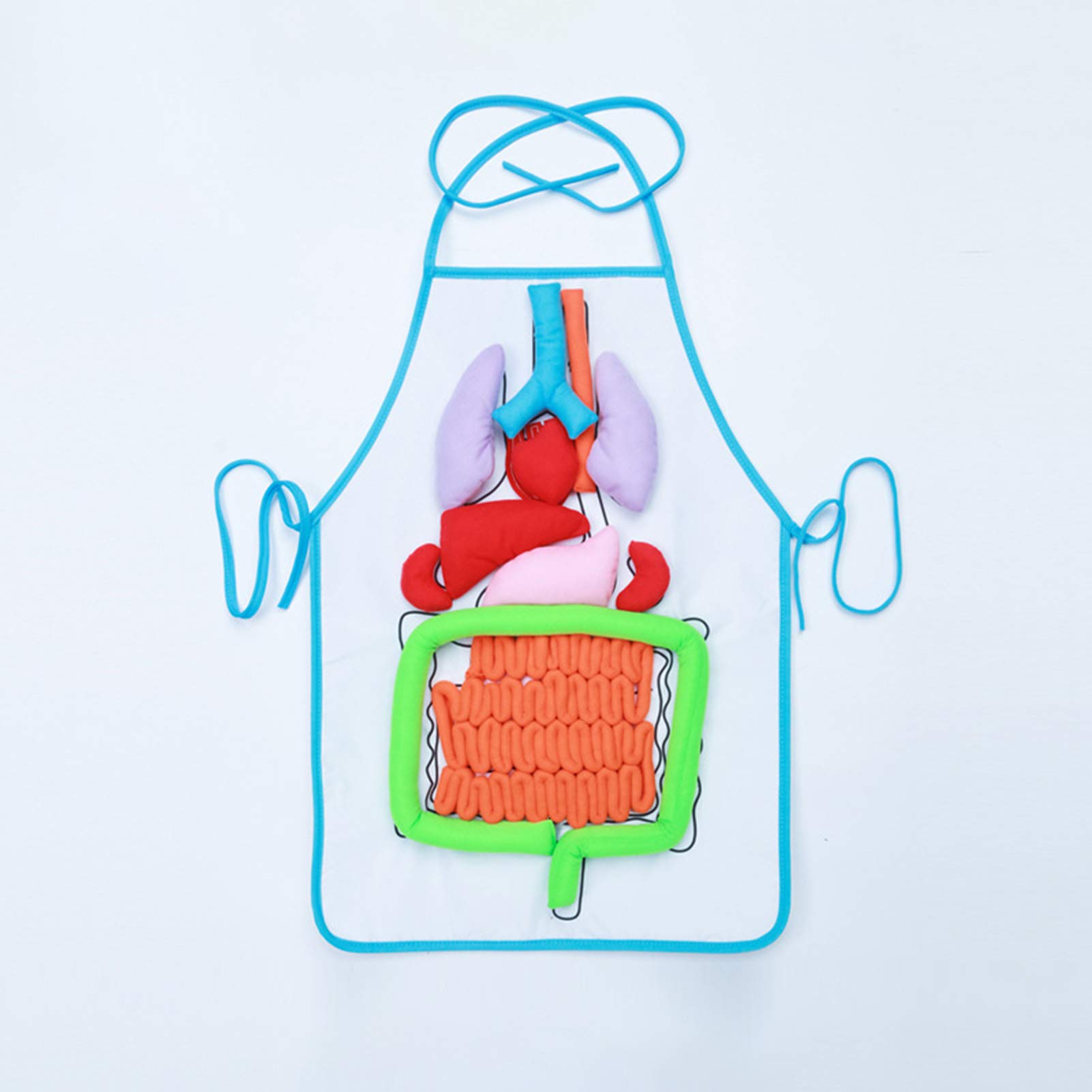 Saicowordist 3d Organ Apron Anatomy Apron Plush Diy Human Body ...