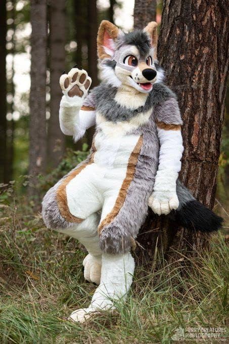 Amazon.com: Grey Wolf Cute Husky Cat Fursuit Fullsuit Teen Costumes ...
