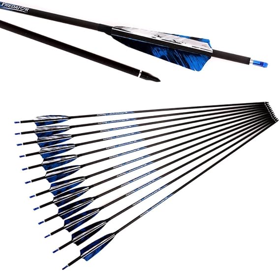 Amazon.com: 29 Inch Arrow Spine 340 Arrow Target Practice Arrow Hunting ...